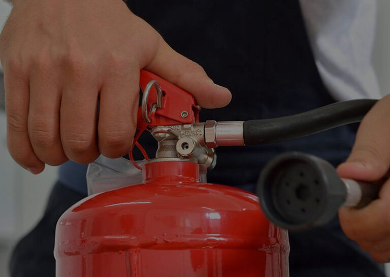 Custom Web Development for Businesses | Soft System Solution